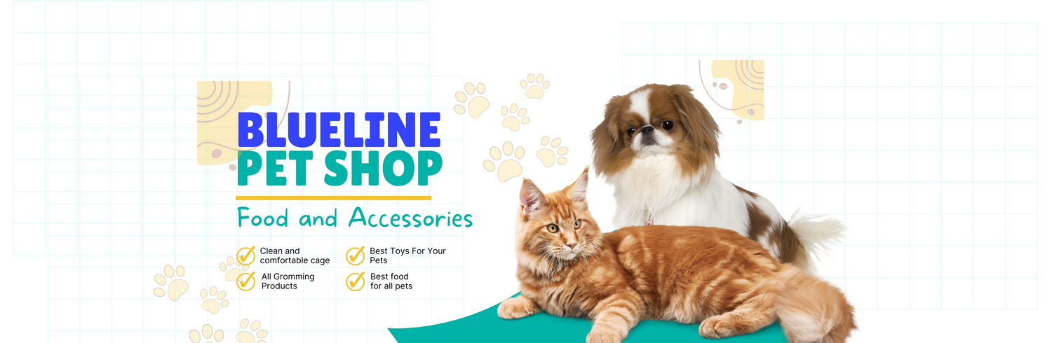 BlueLineBazar - Shop Blue Save Big – Blue Line Bazar